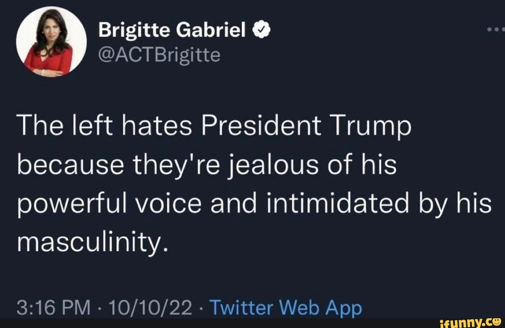 Brigitte Gabriel @ @ACTBrigitte The left hates President Trump because ...