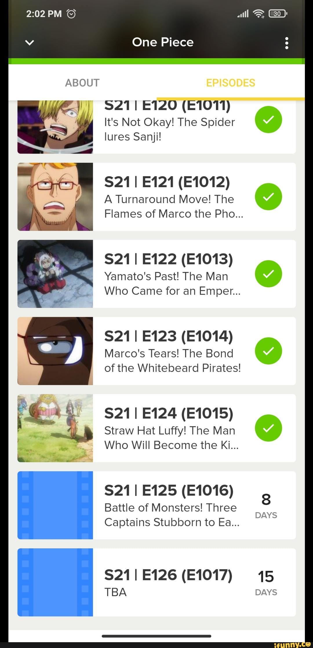 Yamatos memes. Best Collection of funny Yamatos pictures on iFunny