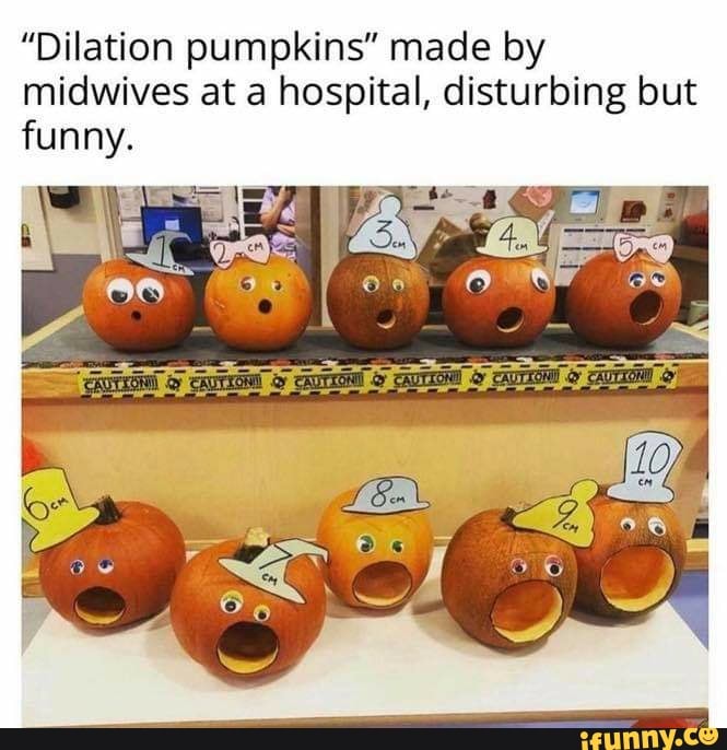 "Dilation pumpkins" made by midwives at a hospital, disturbing but ...