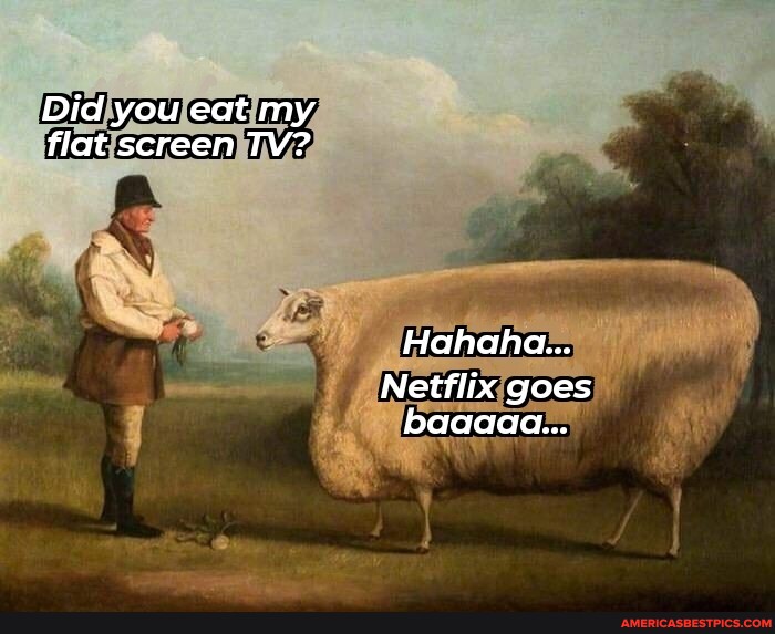 Did you eat my flat screen TV? Hahaha... Netflix goes baaaaa ...