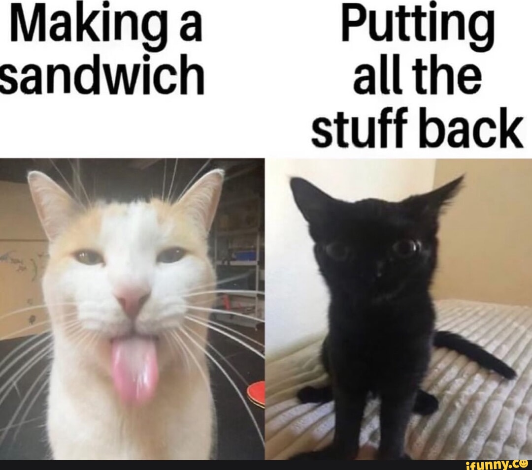 Video memes 2GRjTxWCB by Grozny: 1 comment - iFunny