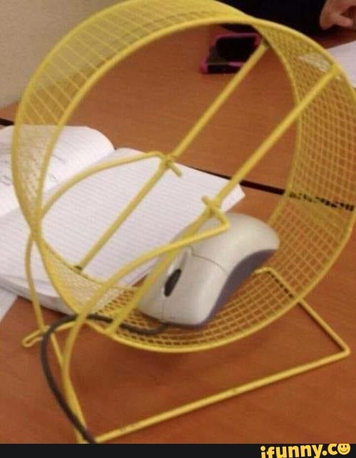 Hamsterwheel memes. Best Collection of funny Hamsterwheel pictures on ...