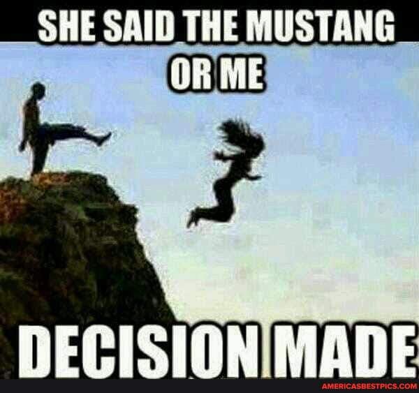 SHE SAIL THE MUSTANE WE ECISION MANE - America’s best pics and videos