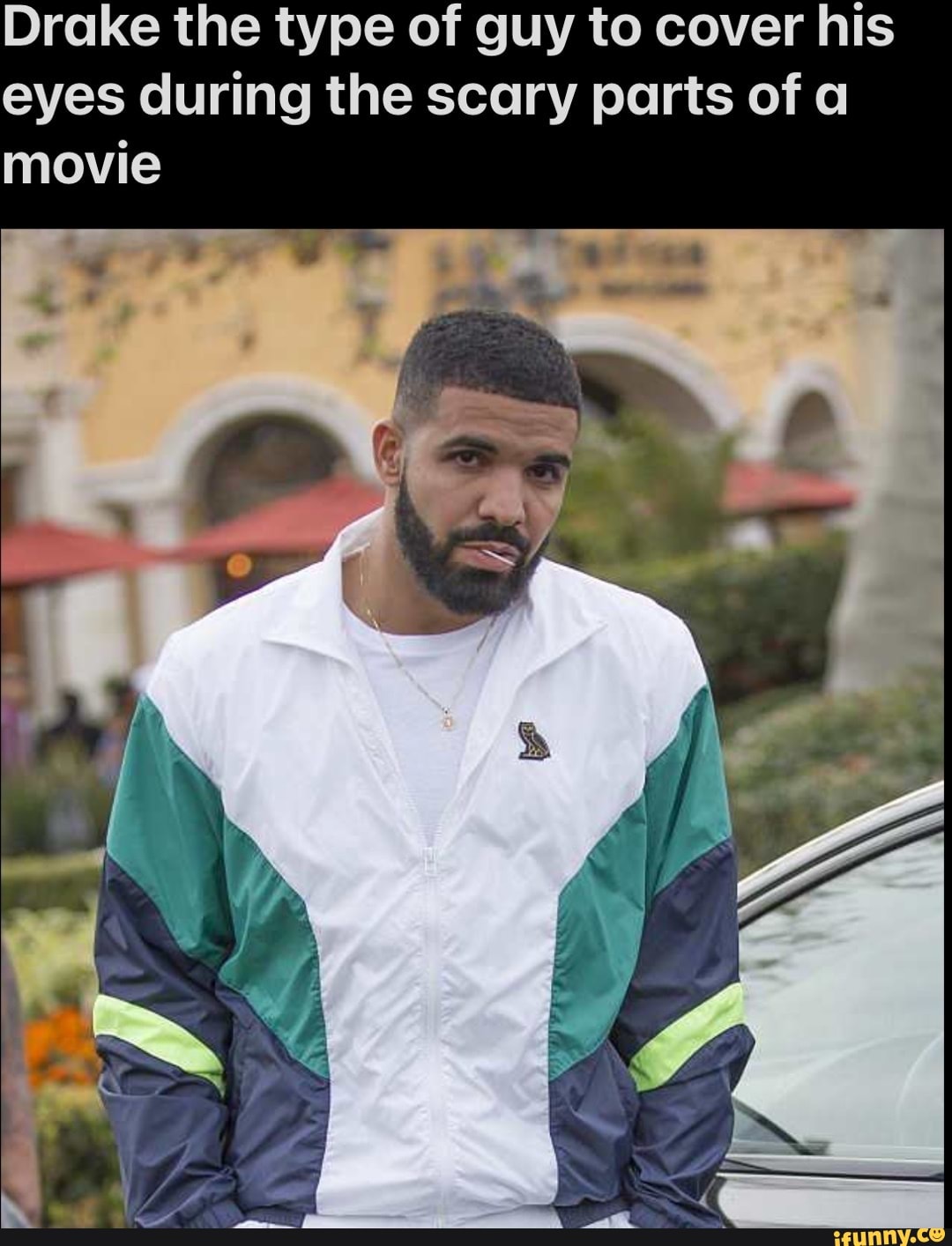 Drake the type of guy to cover his eyes during the scary parts of a ...