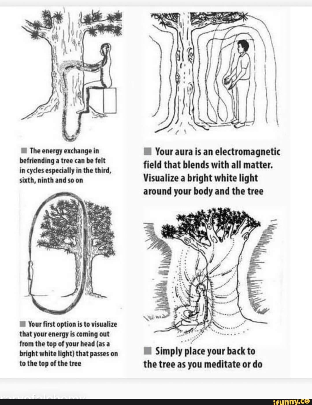 The energy exchange in befriending a tree can be felt in cycles ...