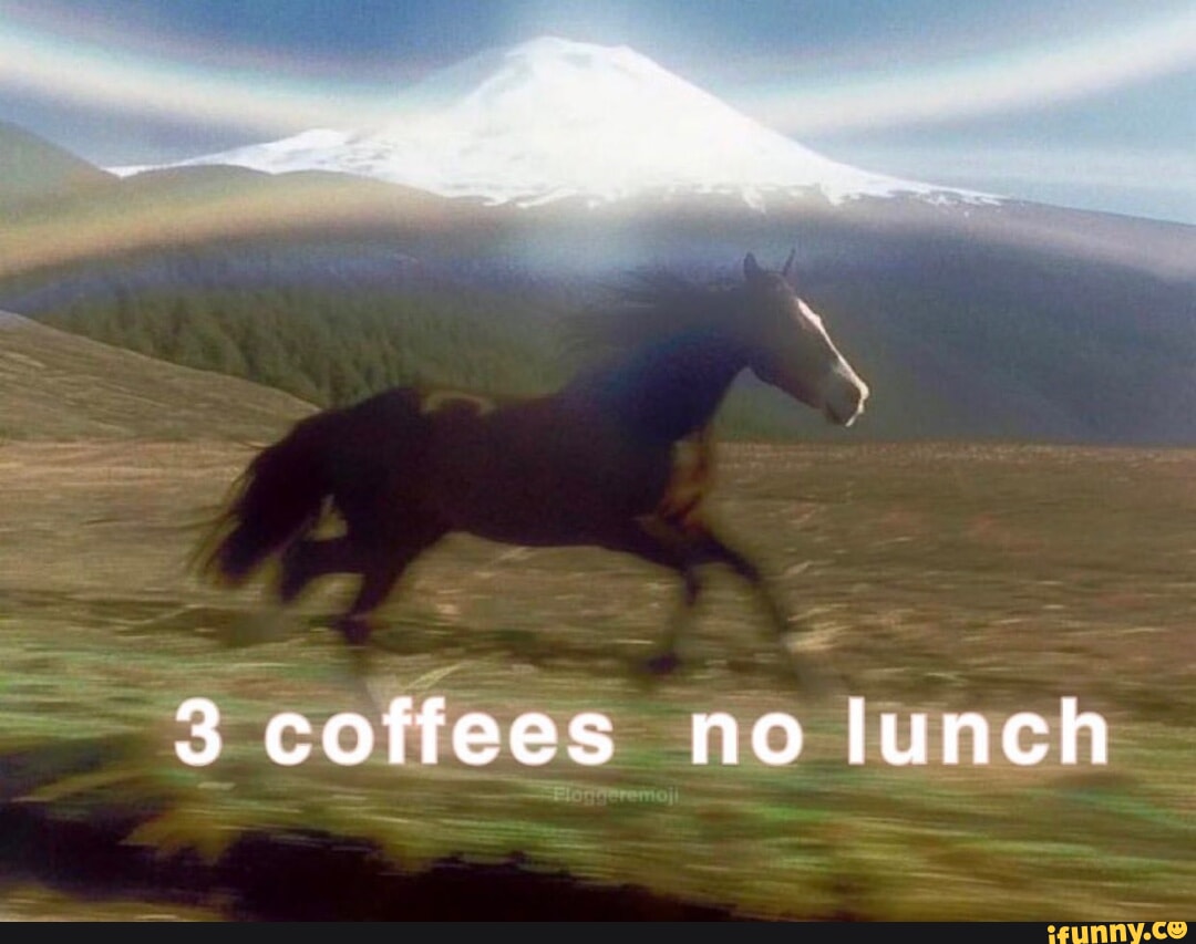 3 coffees no lunch - iFunny