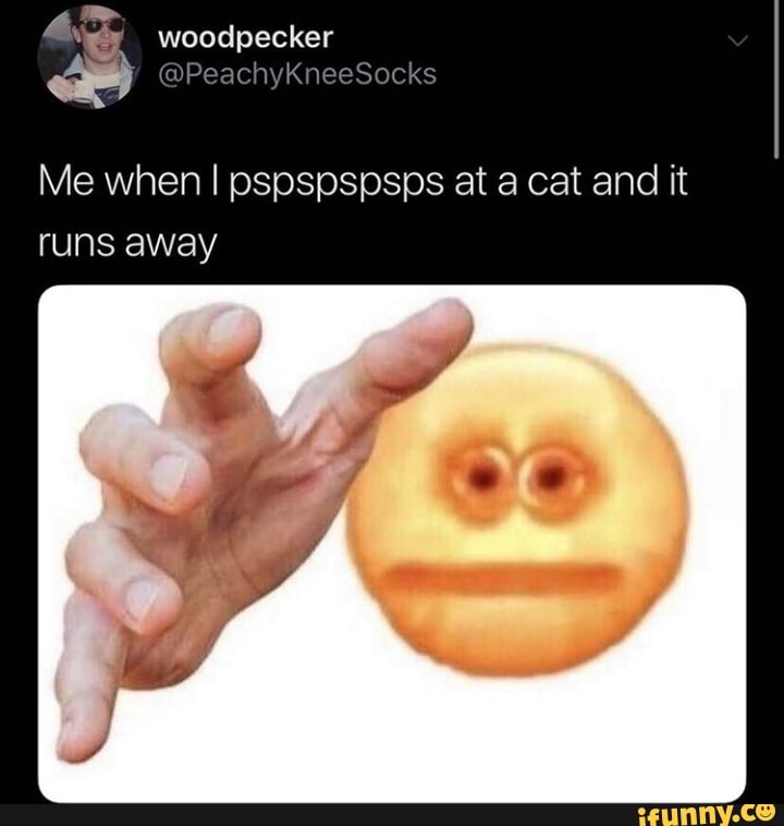 Me when l pspspspsps at a cat and it runs away - iFunny