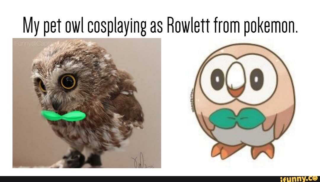 Rowlett memes. Best Collection of funny Rowlett pictures on iFunny