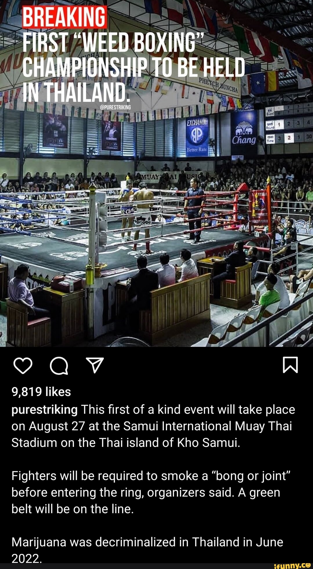 Samui memes. Best Collection of funny Samui pictures on iFunny