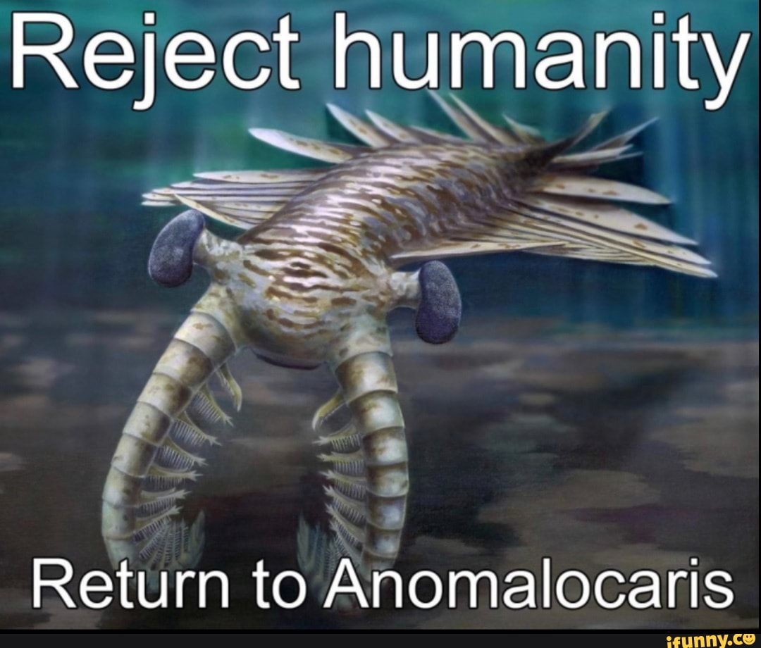 Reject humanity Return to Anomalocaris - iFunny