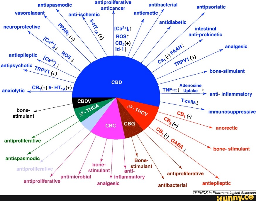 Adenosine memes. Best Collection of funny Adenosine pictures on iFunny