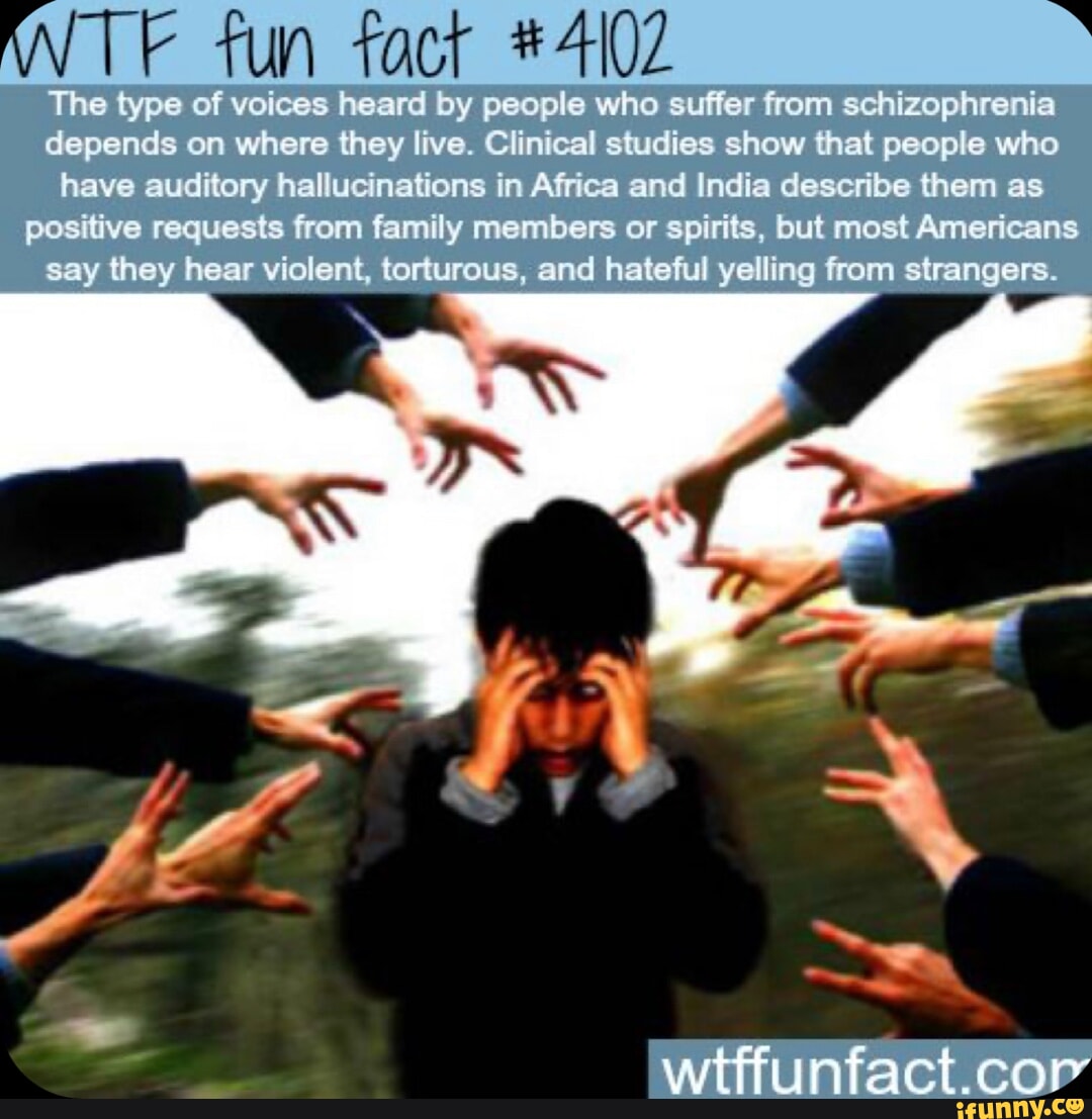 Hallucinations memes. Best Collection of funny Hallucinations pictures ...