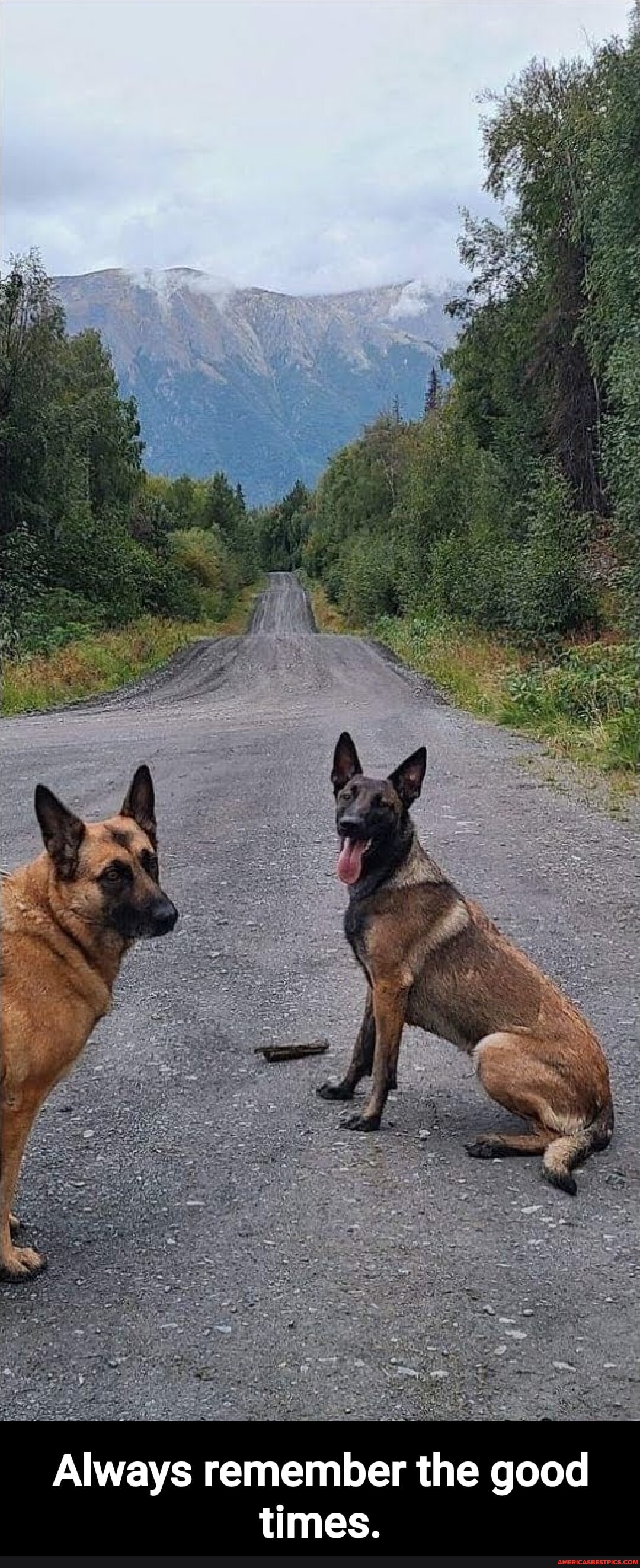 Always remember the good times. - America’s best pics and videos