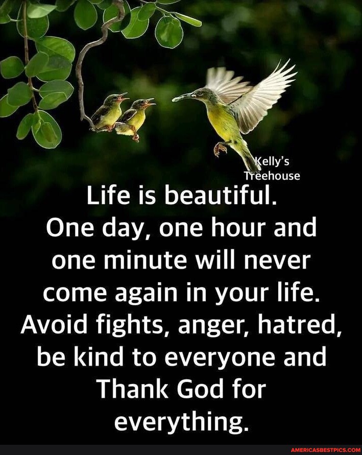 Kelly's Treehouse Life is beautiful. One day, one hour and one minute ...