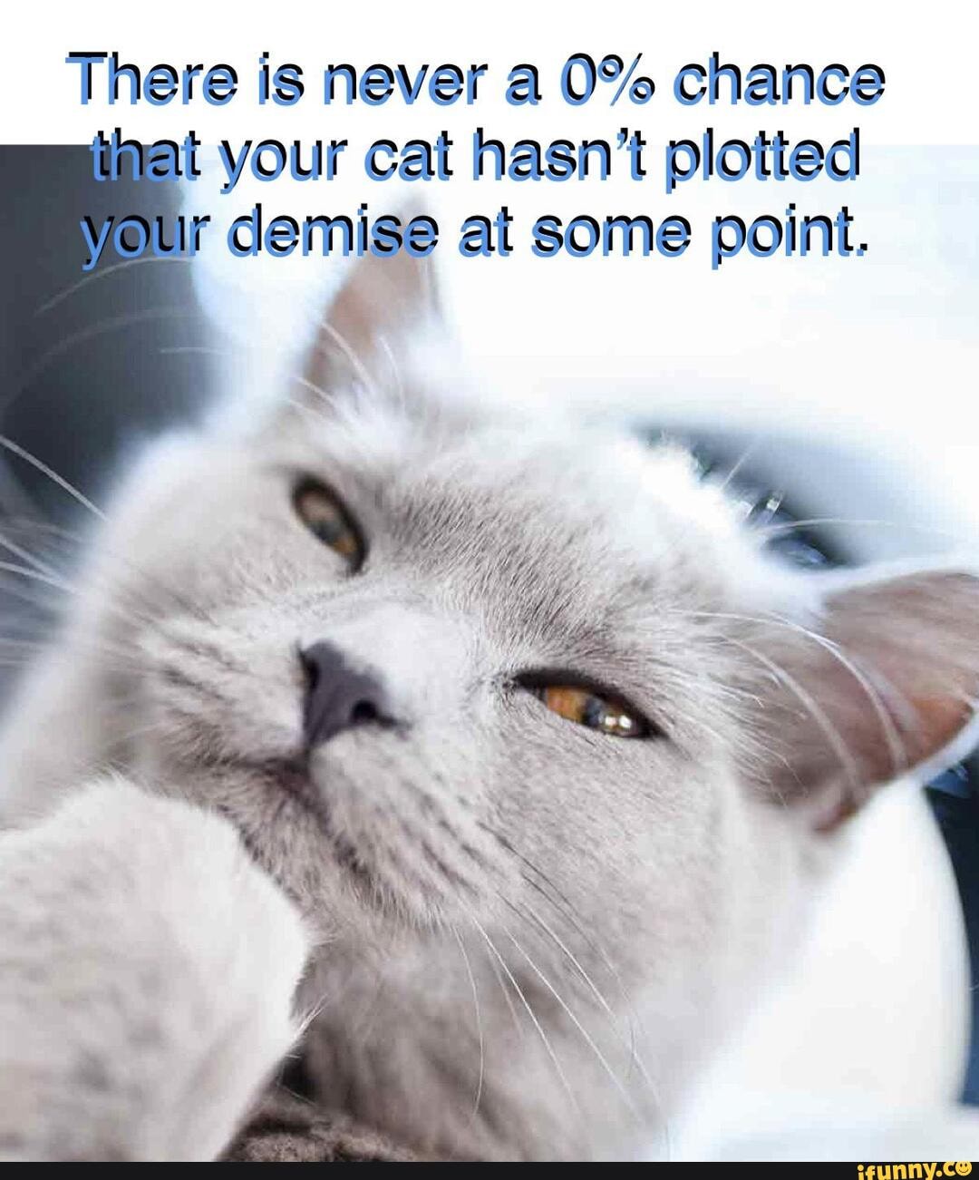 Plot_twist memes. Best Collection of funny Plot_twist pictures on iFunny