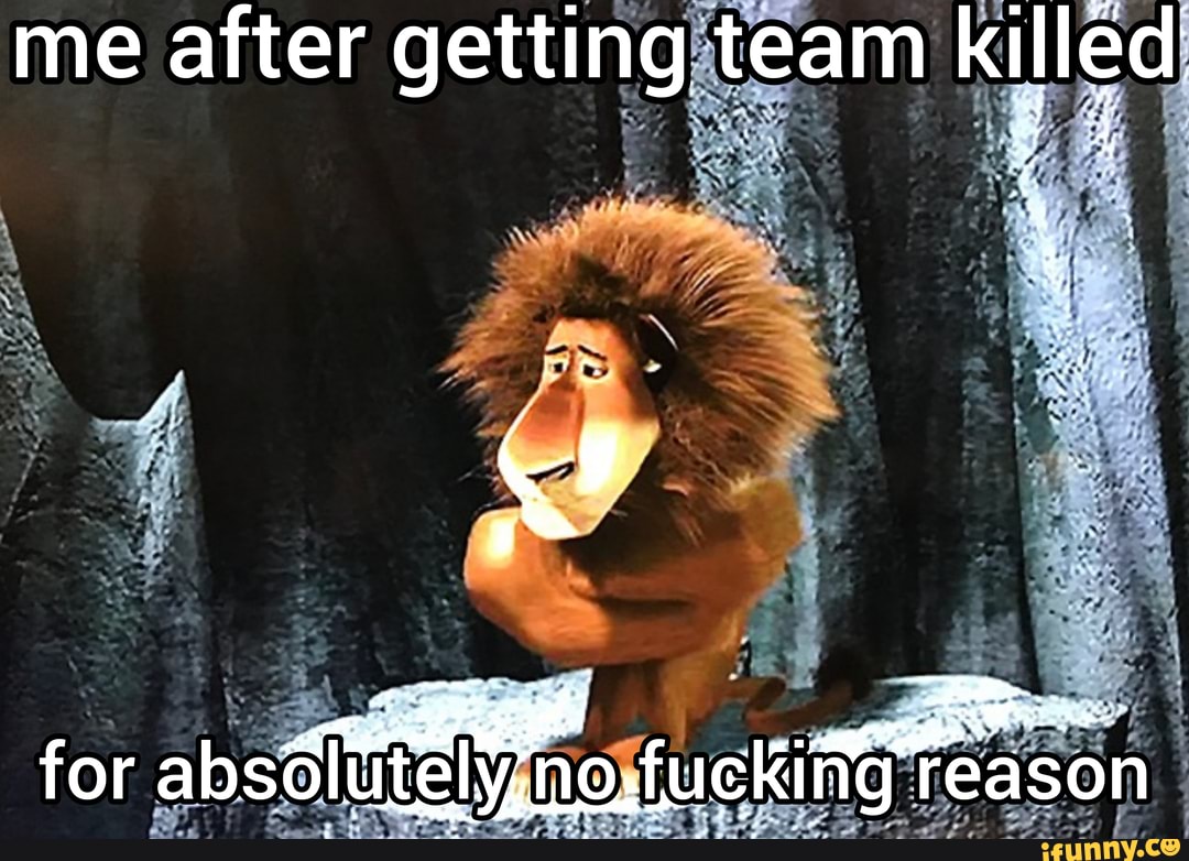 Me after getting team killed Sep for reason - iFunny