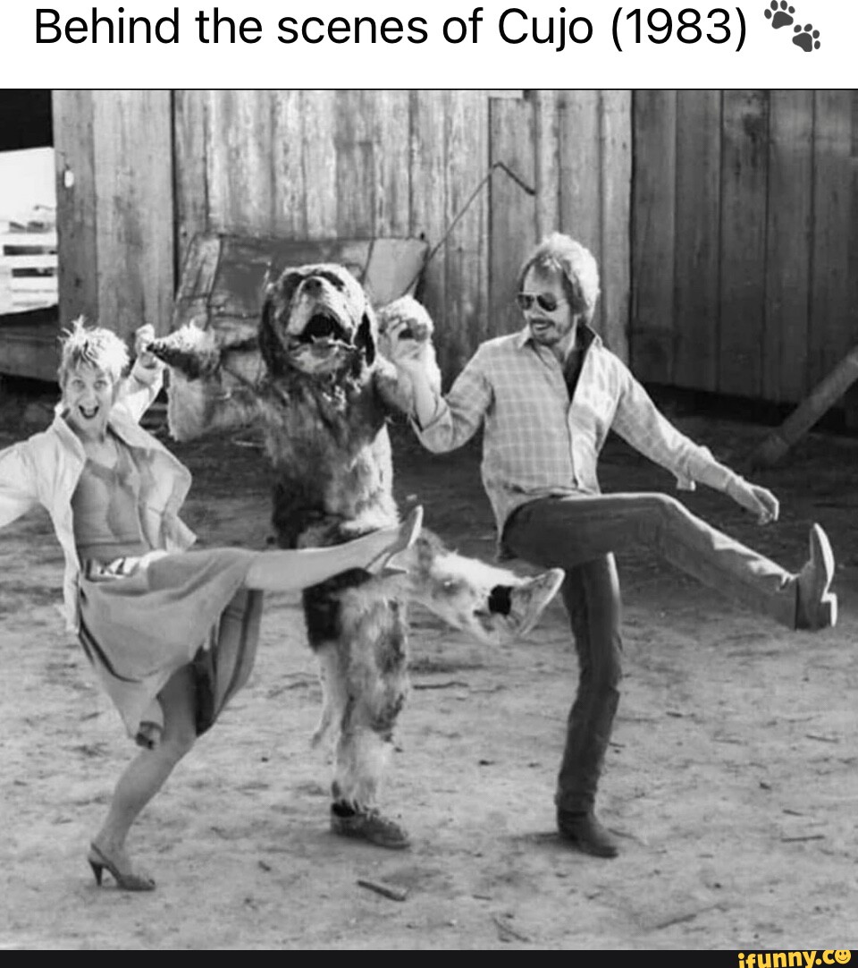 Cujo memes. Best Collection of funny Cujo pictures on iFunny