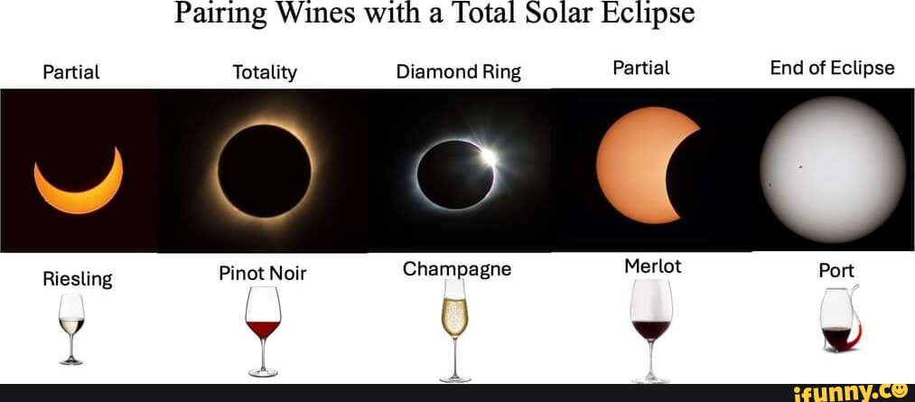 Merlot memes. Best Collection of funny Merlot pictures on iFunny