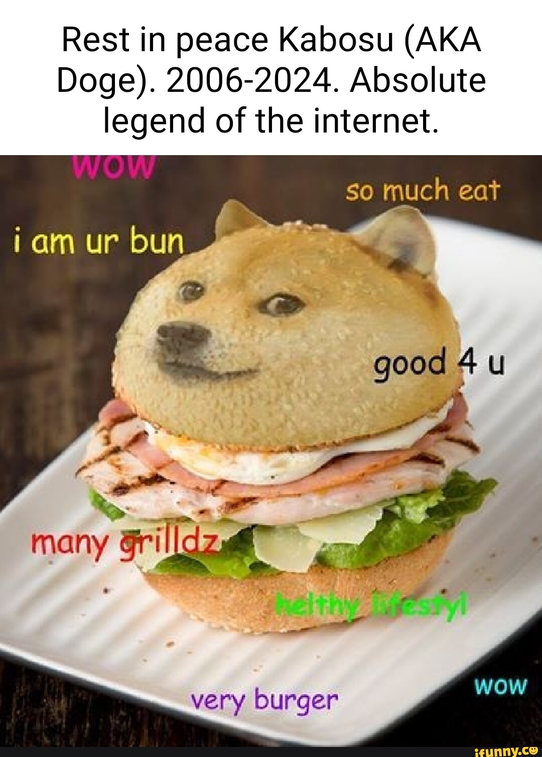 Rest in peace Kabosu (AKA Doge). 2006-2024. Absolute legend of the internet. so much eat iam ur ...