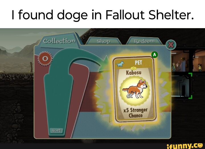 I found doge in Fallout Shelter. - iFunny
