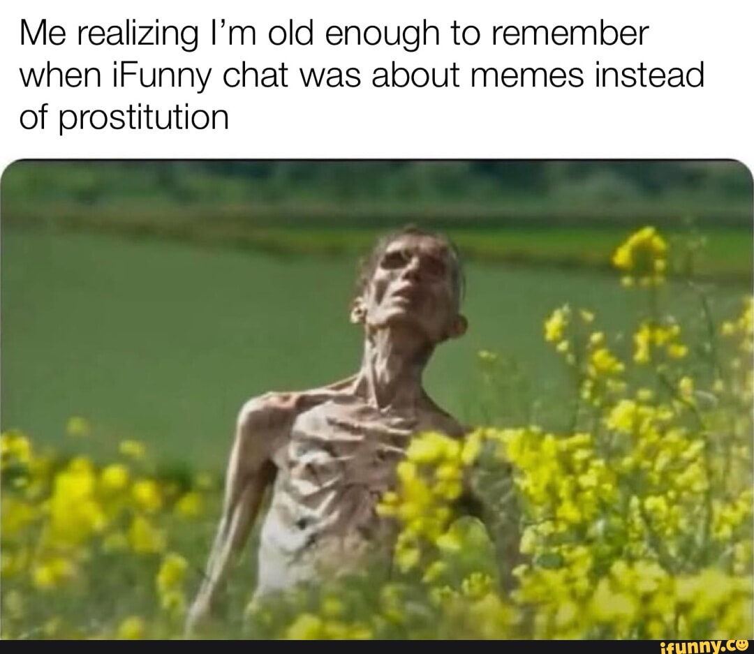 Me realizing I'm old enough to remember when iFunny chat was about ...