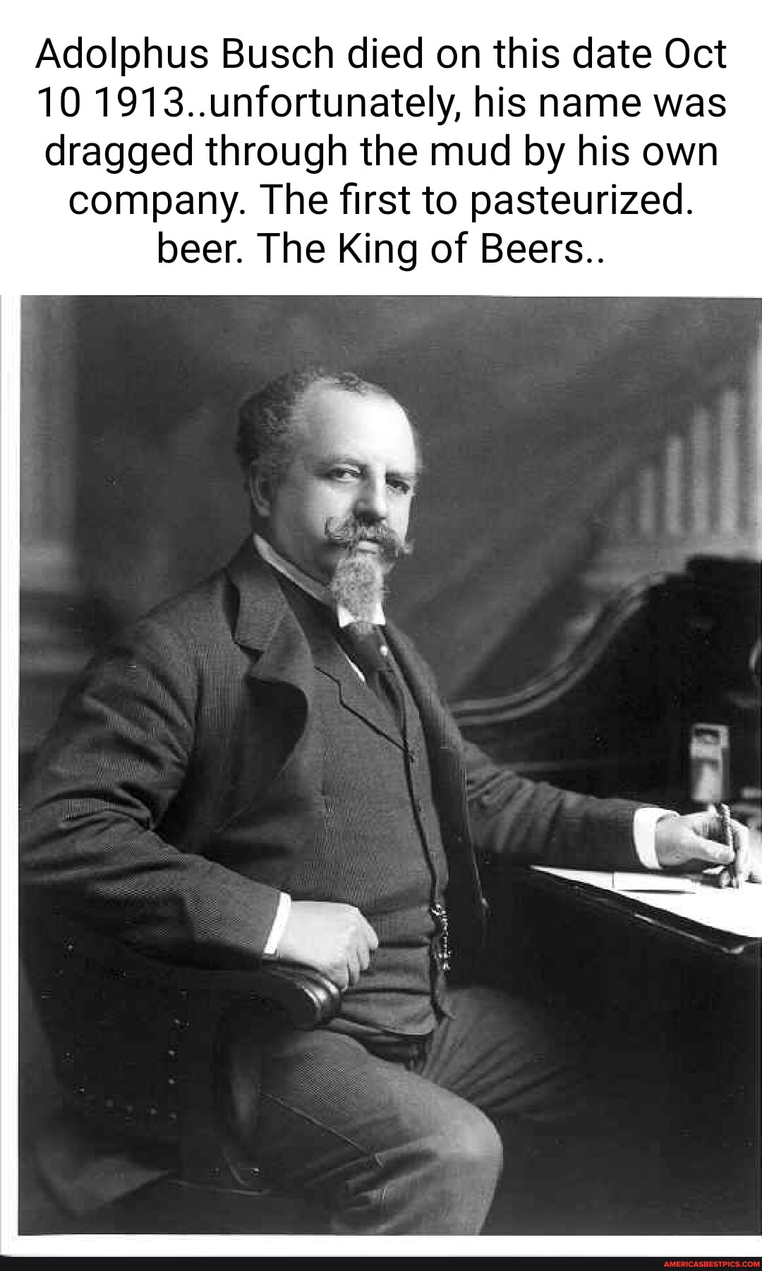 Busch memes. Best Collection of funny Busch pictures on America’s best pics and videos