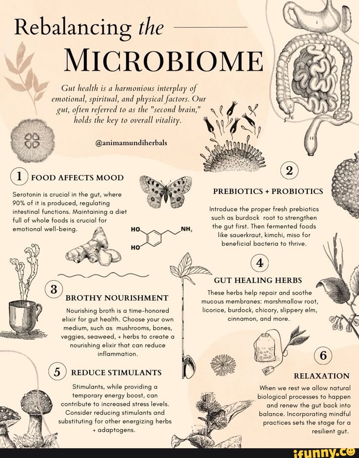 Probiotic memes. Best Collection of funny Probiotic pictures on iFunny