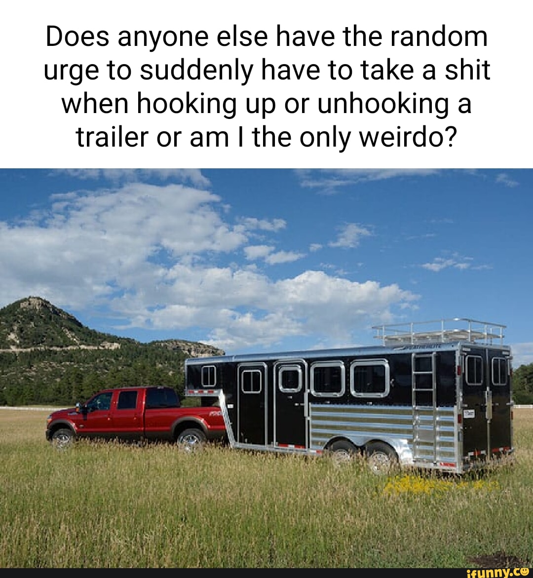 Horsetrailer memes. Best Collection of funny Horsetrailer pictures on ...