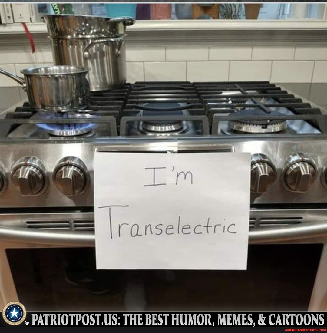 PAT THE BEST HUMOR, MEMES, & CARTOONS - America’s best pics and videos