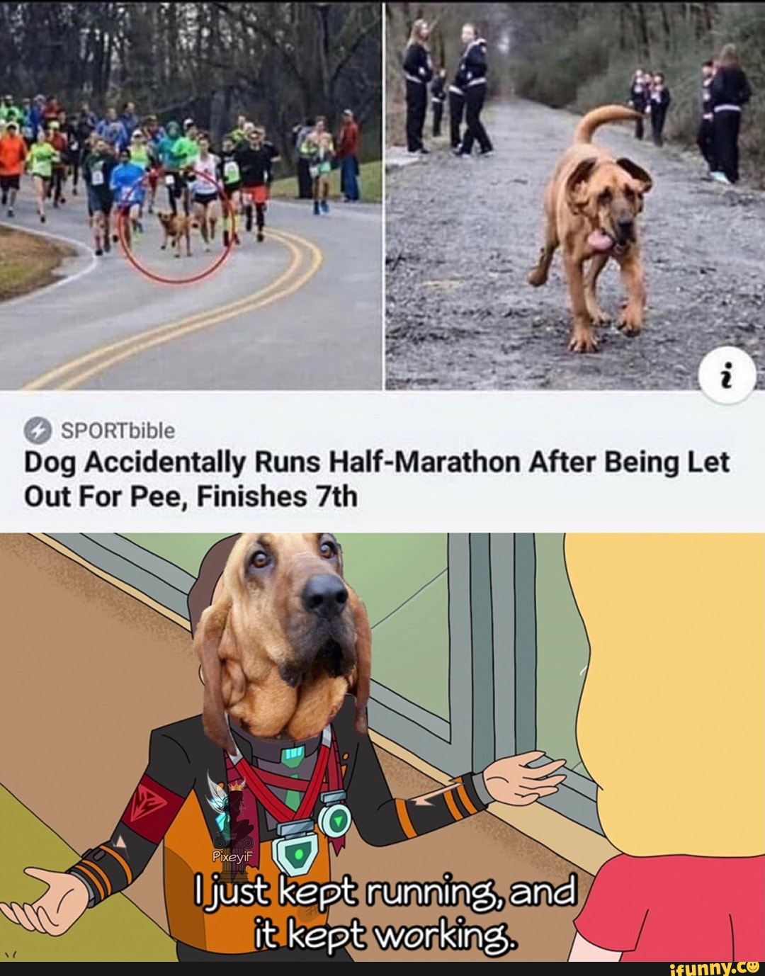 SPORTbible Dog Accidentally Runs Half-Marathon After Being Let Out For ...