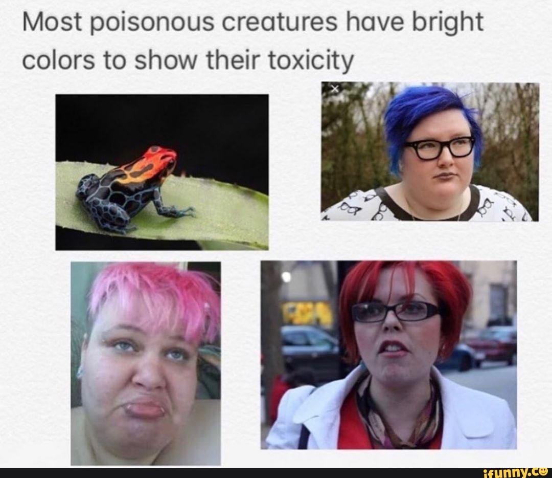Most poisonous creatures hove bright colors to show their toxicity - iFunny