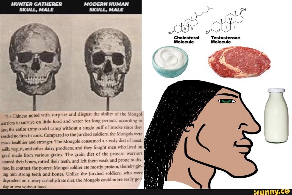 MODERN HUMAN HUNTER GATHERER SKULL, MALE HO Cholesterol Testosterone ...