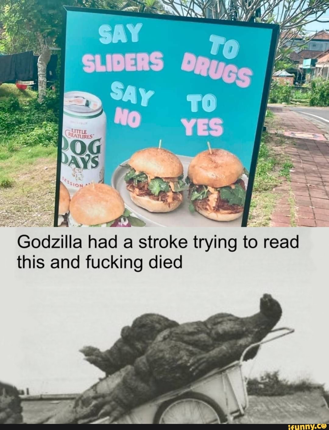 This and fucking died Godzilla had a stroke trying to read - iFunny