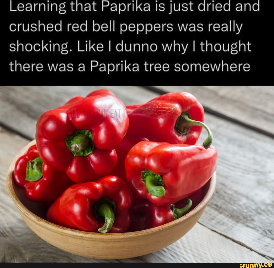 Paprika memes. Best Collection of funny Paprika pictures on iFunny
