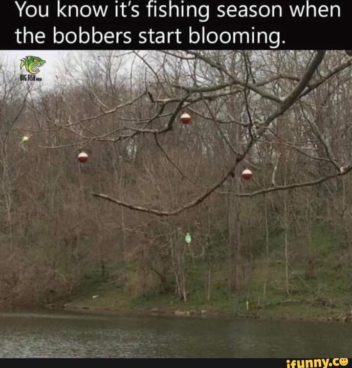 Bobbers memes. Best Collection of funny Bobbers pictures on iFunny