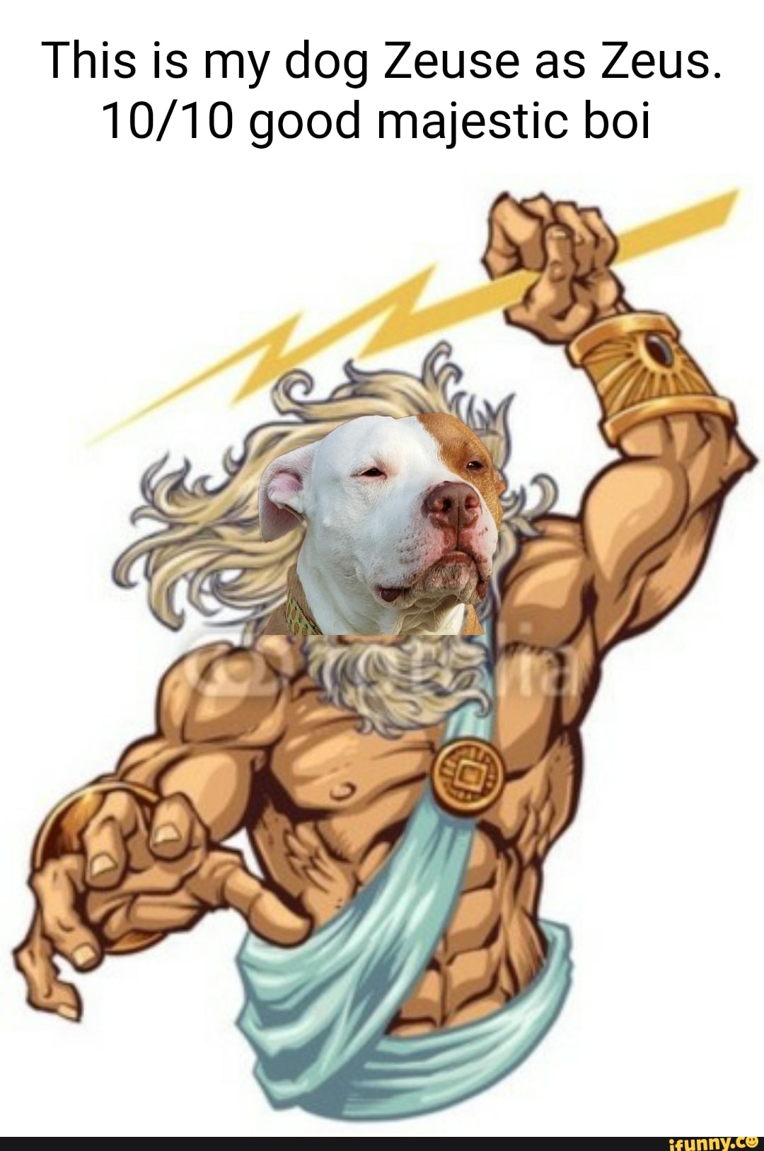 Zeuse memes. Best Collection of funny Zeuse pictures on iFunny