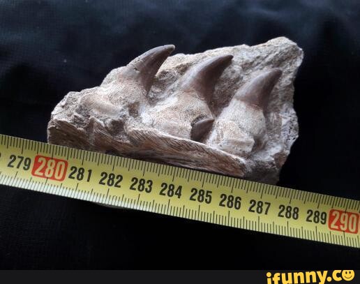 Mosasaur memes. Best Collection of funny Mosasaur pictures on iFunny