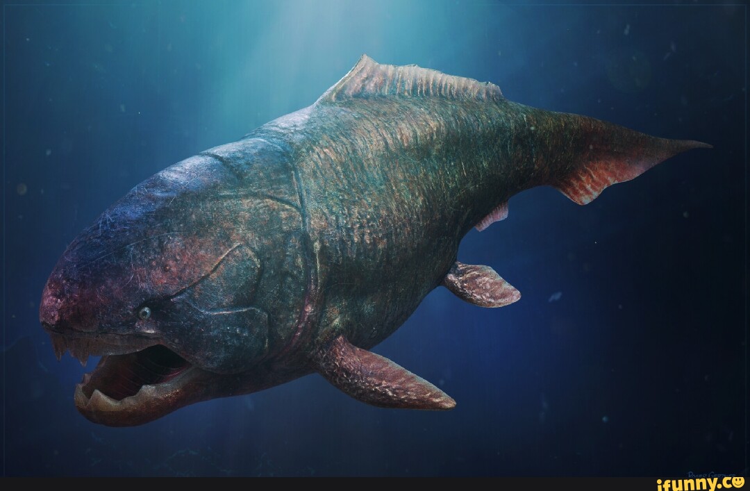 Dunkleosteus memes. Best Collection of funny Dunkleosteus pictures on ...