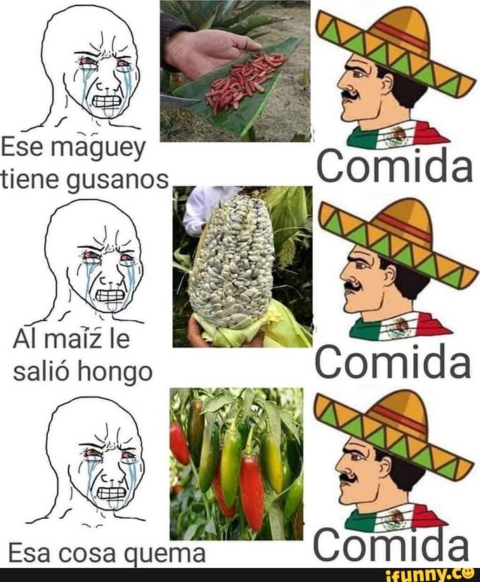 Hongo memes. Best Collection of funny Hongo pictures on iFunny