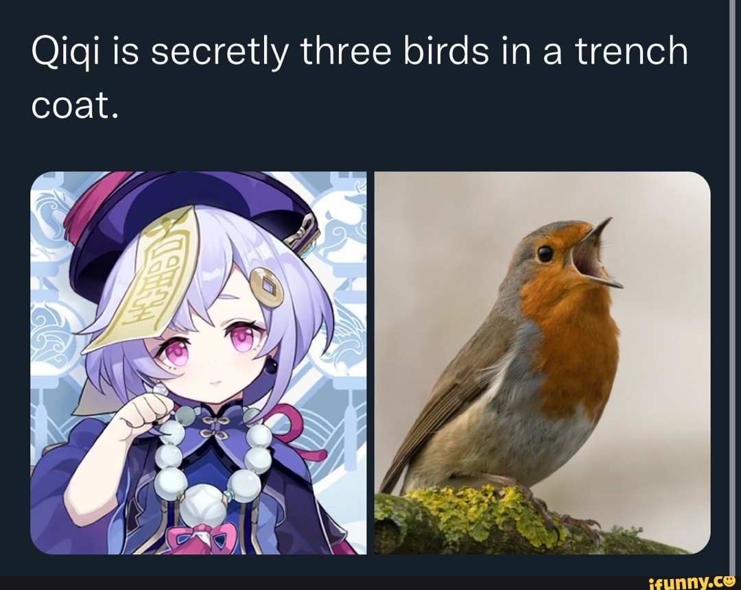 Qiqi memes. Best Collection of funny Qiqi pictures on iFunny