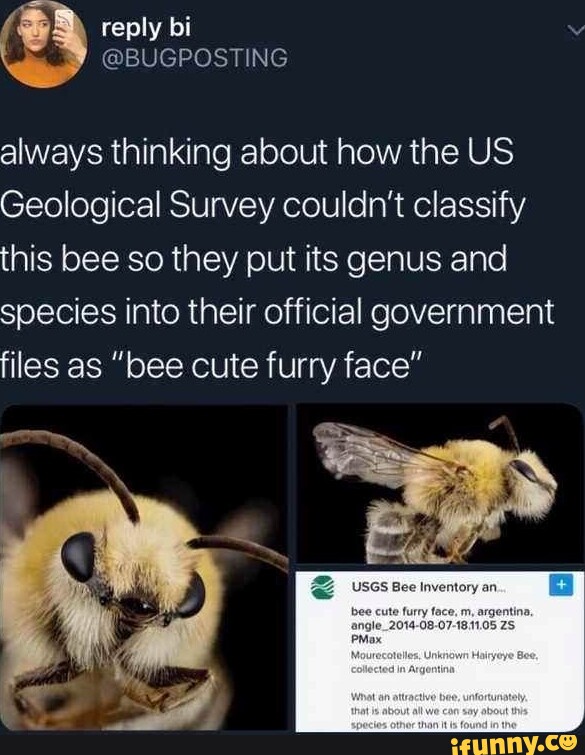 Species memes. Best Collection of funny Species pictures on iFunny