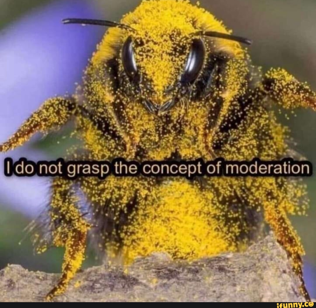 Bumblebee memes. Best Collection of funny Bumblebee pictures on iFunny