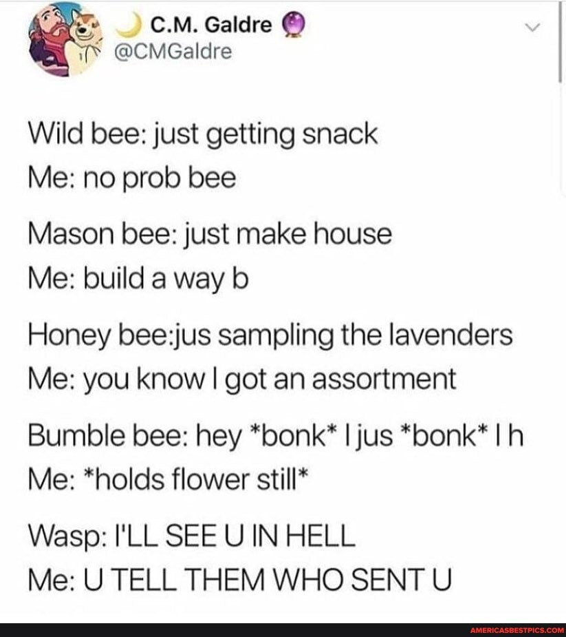 Wild bee: just getting snack Me: no prob bee Mason bee: just make house ...