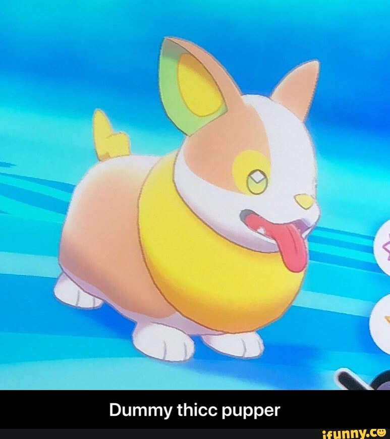 Dummy thicc pupper - Dummy thicc pupper - iFunny