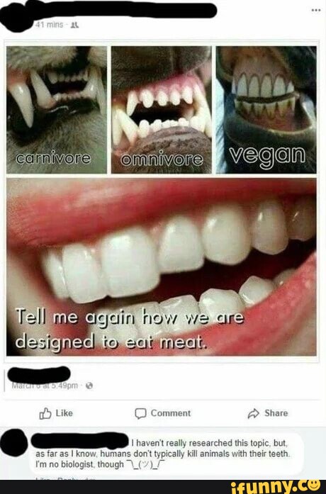 Photographed by masahisa fukase: the man who photographed nothing but ...