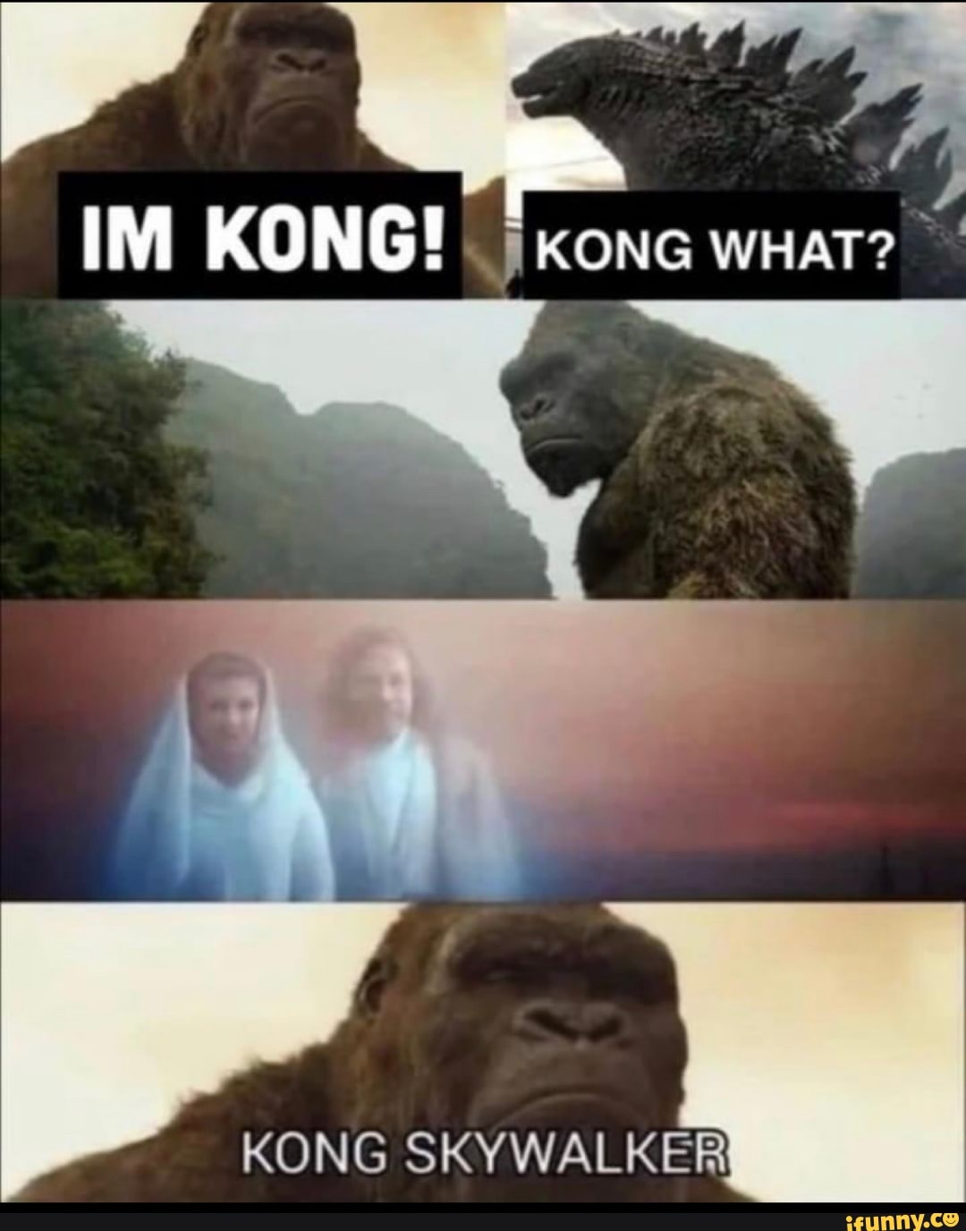 IM KONG! jo ware KONG SKYWALKER NG WHAT? - iFunny