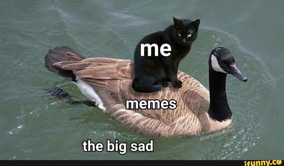 Me memes the big sad - )