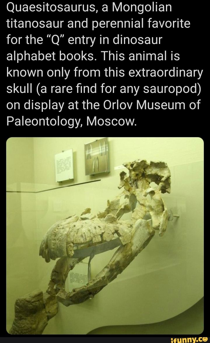 Quaesitosaurus, a Mongolian titanosaur and perennial favorite for the ...
