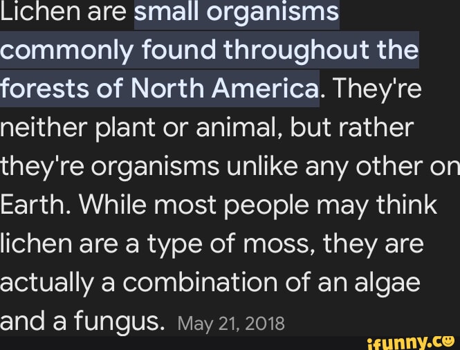 Lichen memes. Best Collection of funny Lichen pictures on iFunny