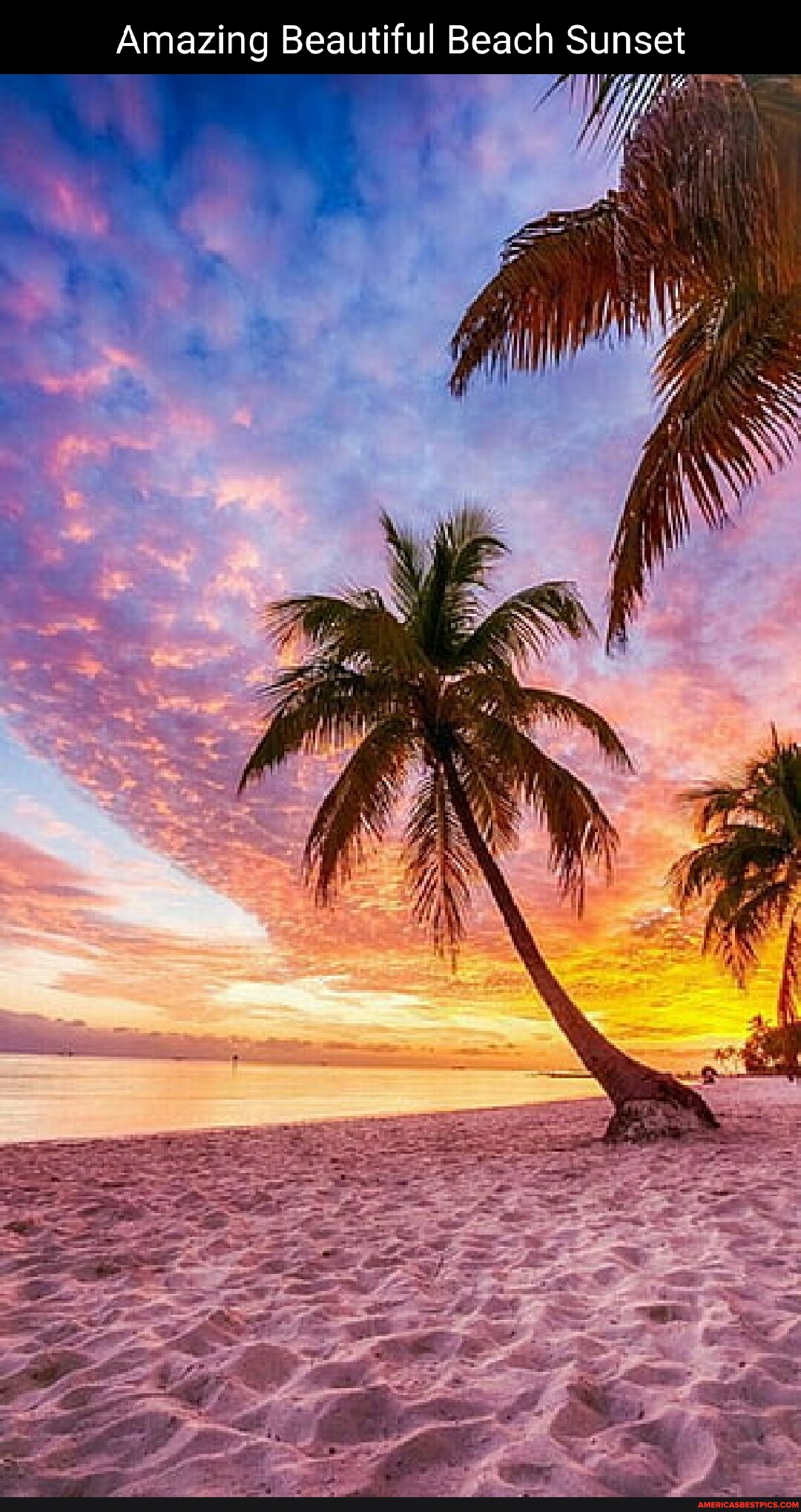 Amazing Beautiful Beach Sunset - America’s best pics and videos
